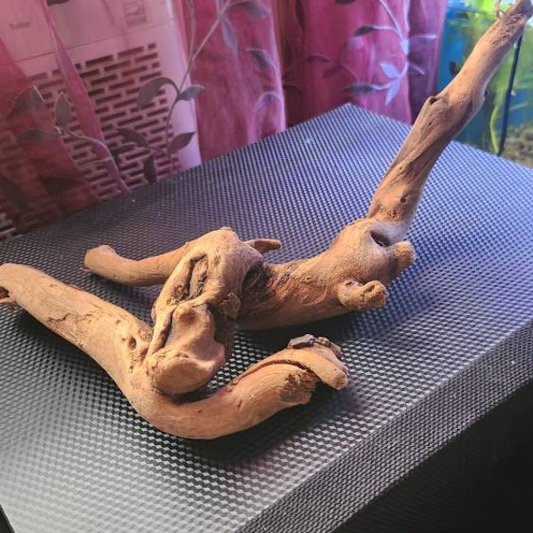 Bog Wood / Aquarium Décor / Terrarium / Reptile Tank / Aquascaping ...