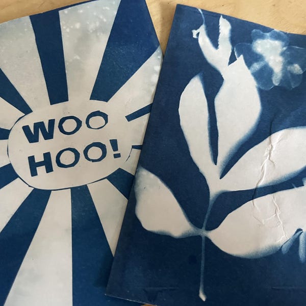 DIY Solar Printing Kit , Craft Kit , Cyanotype , Kit , Solar Printing ...