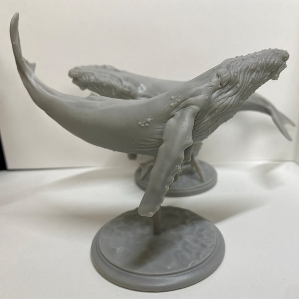 Humpback Whale 1:100 Scale Model by Animal Den | Unpainted | Print on ...