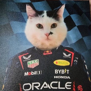 Red Ball, Formula Racing Car, F1 Driver Team Pet Portrait, Custom Dog ...