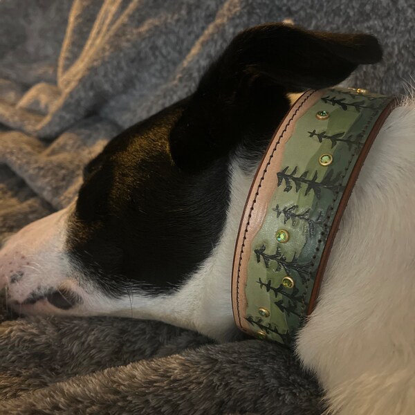 Sage Mountains and Pine Trees Leather Dog Collar - Handcrafted and ...