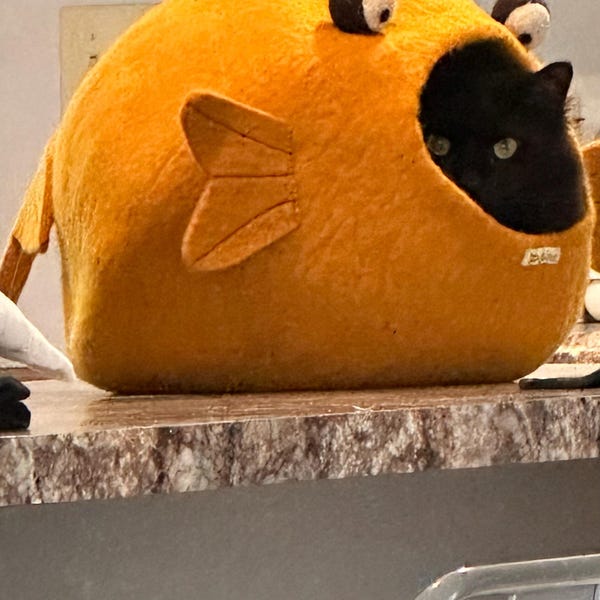 Finger Family Finger Puppets (daddy Finger, Mummy Finger, Brother ...