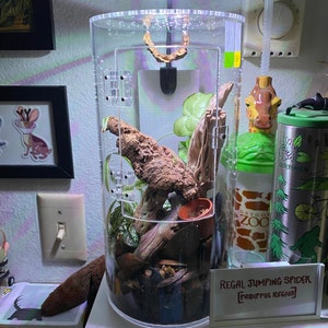 Natural Red Jasper Stone for Aquascaping, Terrariums, Home Decor Red ...