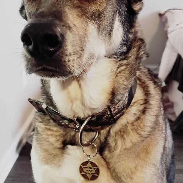 Personalized Dog ID Tag - Sheriff Badge - Star - Brass - Handmade - Dog ...