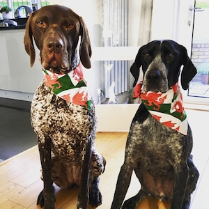 Welsh Flag Tie on Dog Bandana - Etsy