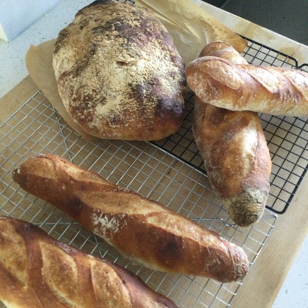 Unbleached Artisan Bread Flour 5 Lb - Great for Baking Crusty Hearth ...