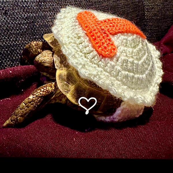 Crochet Tortoise Tuxedo: Handmade Reptile Costume With Rose - Etsy