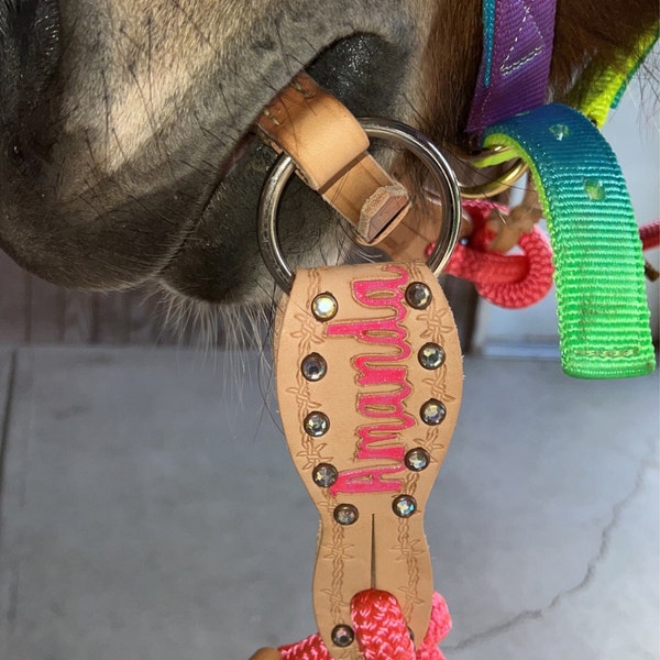 Soft, Natural, Vegetable Tanned Leather, No Bridle Bit for Your Horse ...