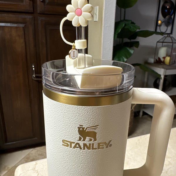 Personalized Puddle Jumper Cover for Toddler Swim Monogram Seersucker ...