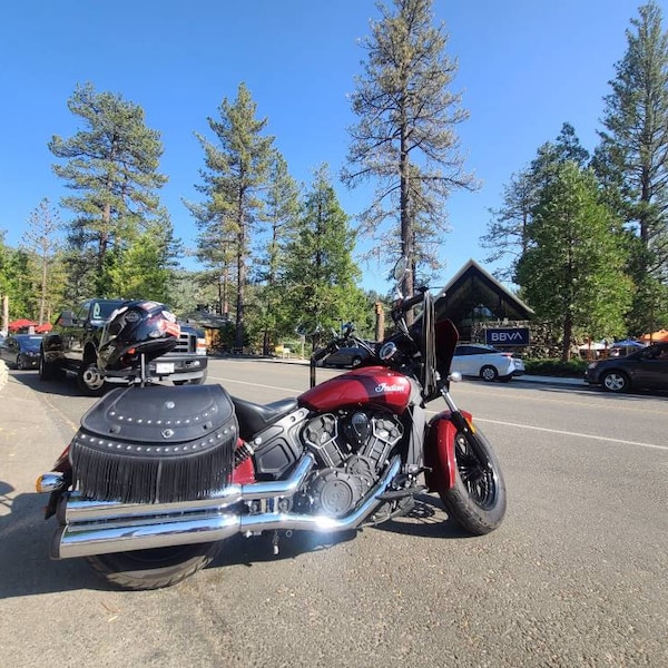 Indian Scout/scout Bobber "wanderlust" Sissy Bar - Etsy