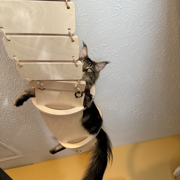 Plywood Ceiling Cat Shelves: Climbing Ceilingfurniture Set - Etsy