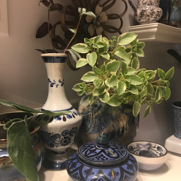 Unique Panama Embera Woven Bird Mask Folk Art - Etsy