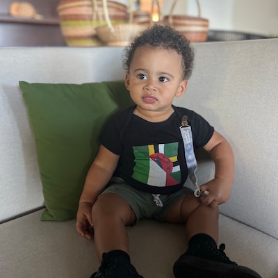 Brazilian American Flag Half Brazil USA Brasil Canvas Gallery Wraps ...