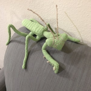 Praying Mantis Crochet Pattern - Etsy