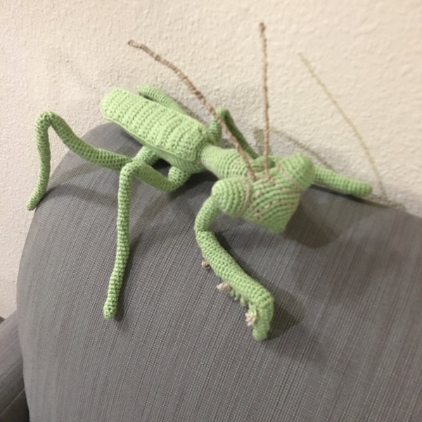 Praying Mantis Crochet Pattern - Etsy