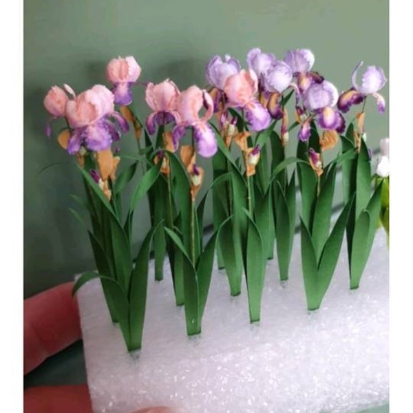 KIT Marigold ORANGE Miniature Garden Dollhouse Flower Kit, Scale 1:12 ...