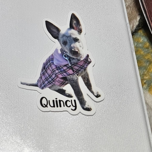 Custom Pet Sticker, Die Cut Vinyl Waterproof, Personalized Gift, Custom ...