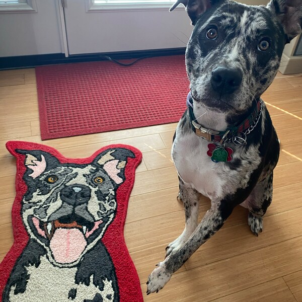 Custom Pet Portrait Rug - Personalized Cartoon Pet Rug, Animals, Dog ...
