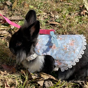Autumn Ginkgo Wool Short Dress Pet Bunny Dress/harness - Etsy