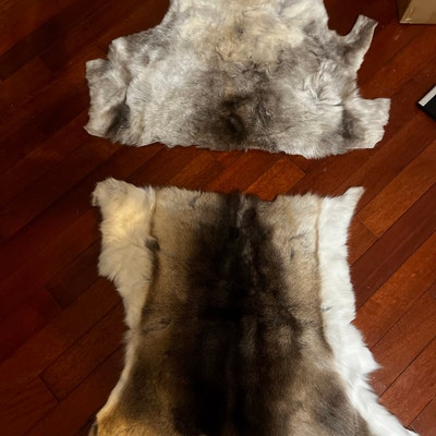 Real Giant European Wild Boar Skin Hooves Hide Pelt Area Rug Hide ...