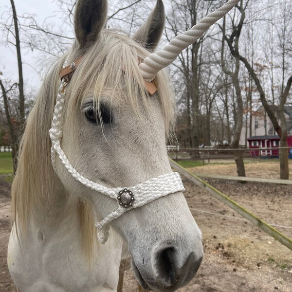 Unpainted Unicorn Horn (diy-horn) - With Detachable Bottom - Etsy