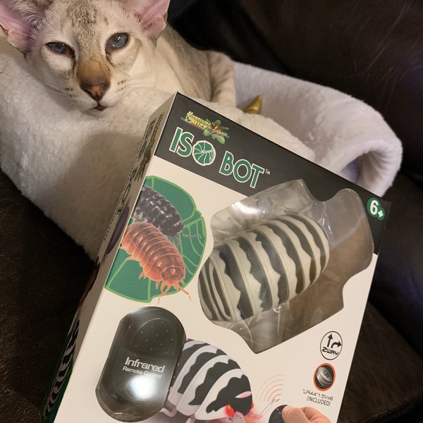 The Iso Bot (non Operational) - Remote Control Isopod Toy - Etsy