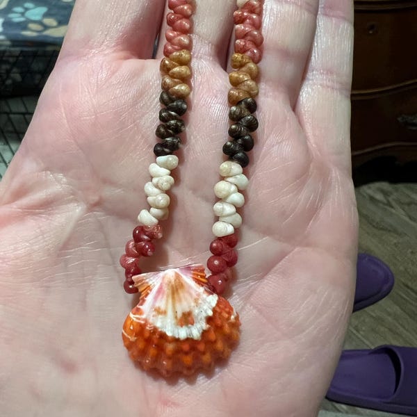 Kahealani Shell Necklace, Beautiful Sunrise Shell and Colorful ...
