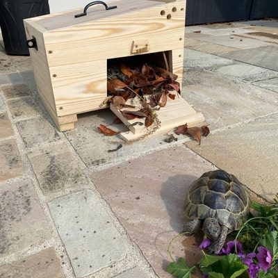 Tortoise House/lodge - Etsy UK