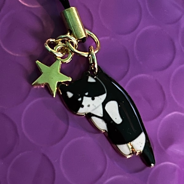 Cell Phone Charm Dust Plug Keychain Zipper Pull 3.5mm Audio Jack, Clip ...