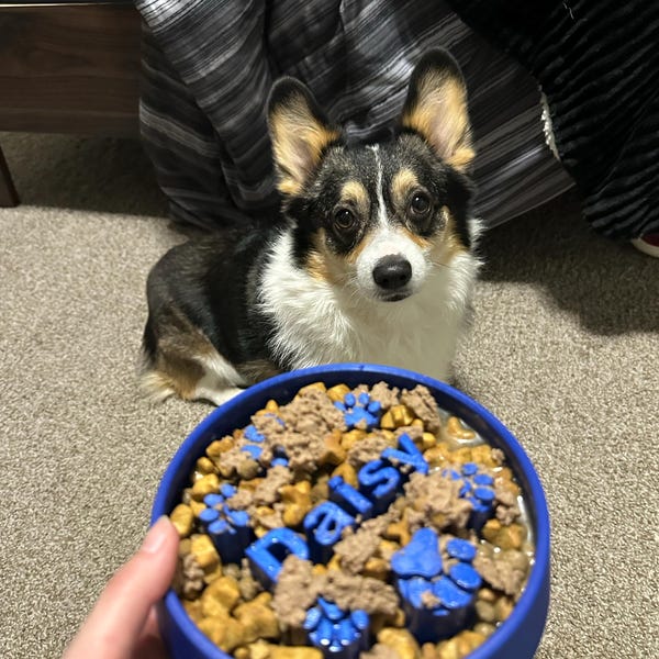 Graduation Tray Grad Charcuterie Tray Fillable Letter Wedding Birthday ...