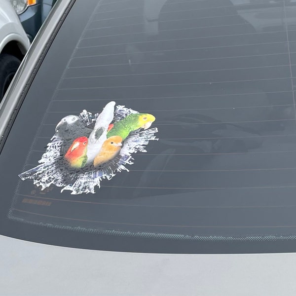 Custom Window Sticker, Laptop Sticker, Funny Decal, Pet Decal - Etsy