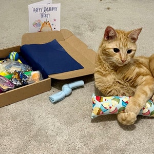 Personalised Cat Birthday Gift Box Gotcha Day Presents Pet - Etsy