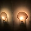 DEEP SCALLOP Sea Shell NIGHTLIGHT - Etsy