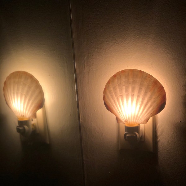 DEEP SCALLOP Sea Shell NIGHTLIGHT - Etsy