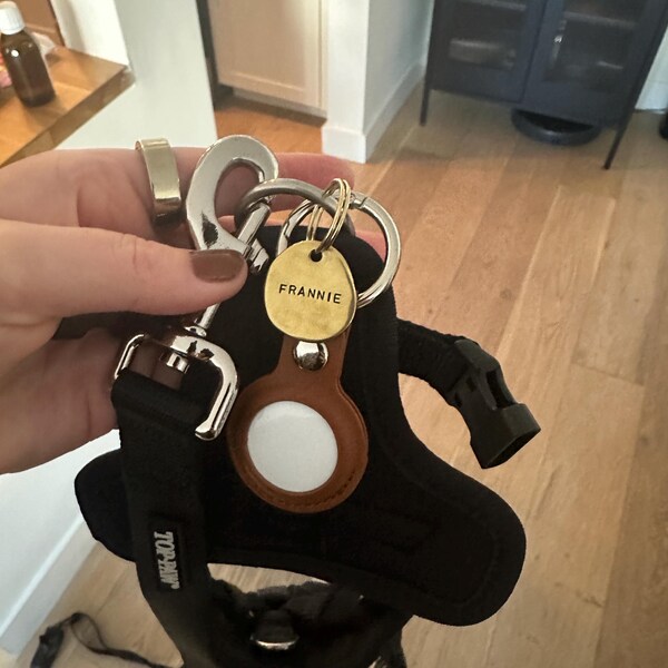 LINUS: Hand Stamped Personalized Custom Pet ID Tags for Dogs and Cats ...