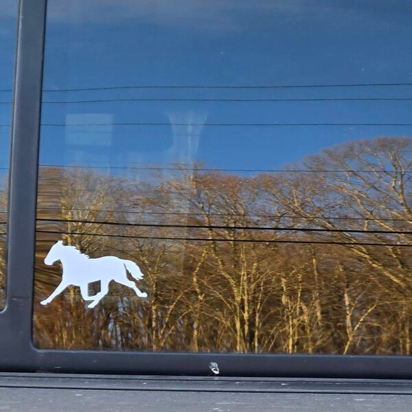 Lady Trucker TP 684 Vinyl Decal Sticker Truck Driver Semi Big Rig 18 ...