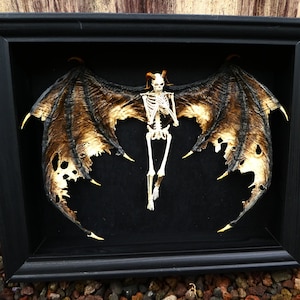 Sphinx Skeleton Curiosity Cabinet - Etsy