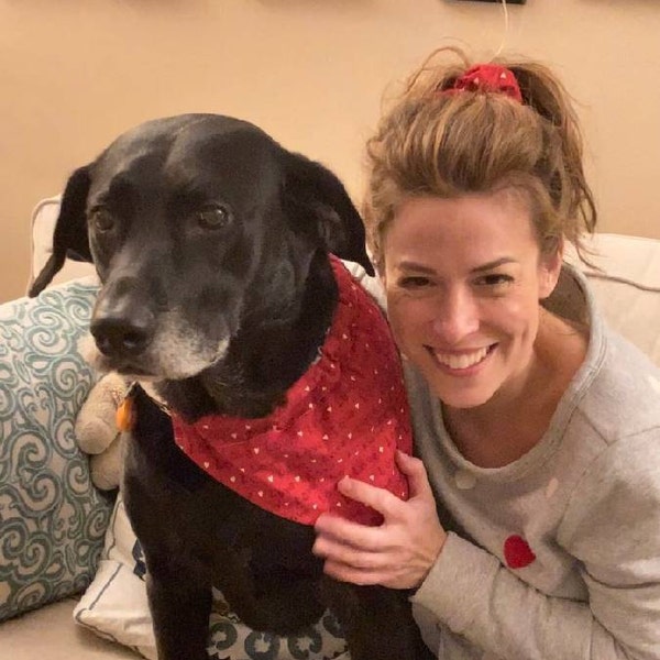 Over the Collar Reversible Dog Bandana Wisconsin Badgers, Milwaukee ...