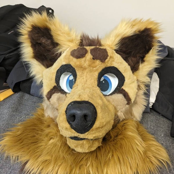 Fursuit Eye Mesh - Hypno Swirl Mascot Costume Eyes - Etsy