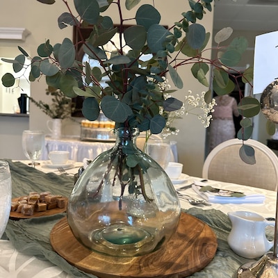 Huge Bundle Fresh Baby Eucalyptus for Shower, Decor, Weddings ...