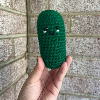 PATTERN ONLY, Easy Pickle Crochet Pattern, Instant DOWNLOAD - Etsy