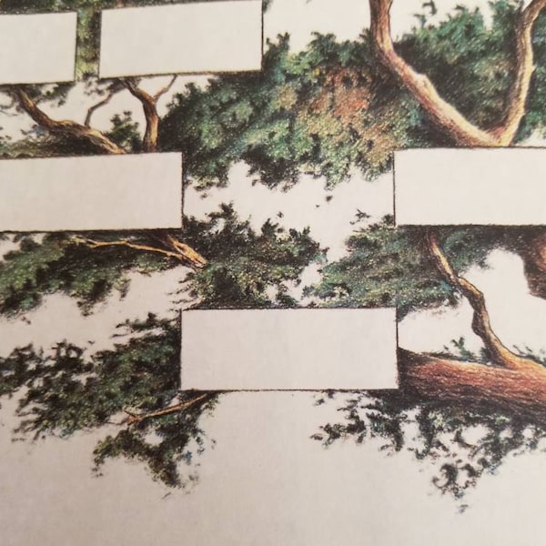 Family Tree Scrapbook Chart 12x12" Displays 5-6 Generations by Raymon ...