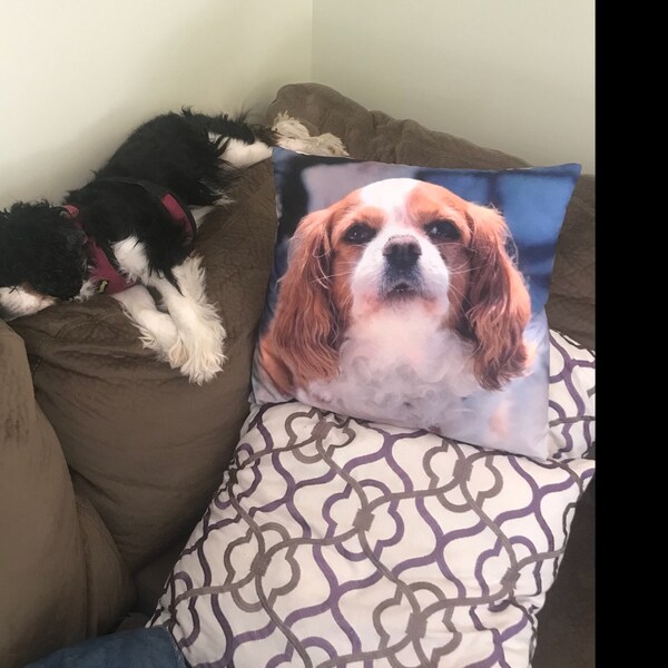 Pets Personalised Cushion, Pet Memorial, Pet Loss Gift, Dog Lover Gift ...