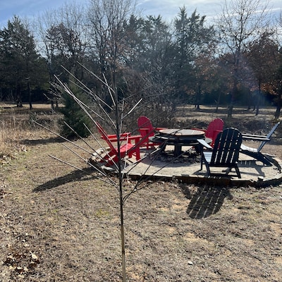 The haint Chaser Glass Bottle Tree by Cubby's - Etsy