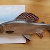 Halibut, 21-25 Inches 3D Wall Wooden Fish, One Side Hand Carved and ...