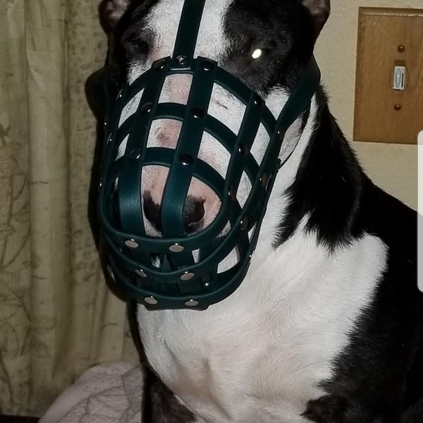 Biothane Basket Dog Muzzle With Forehead Strap Adjustable More Secure ...