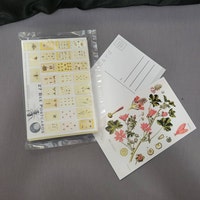 Art Nouveau Postcard Set Set of 20 Artist Postcards of Alphonse Mucha ...