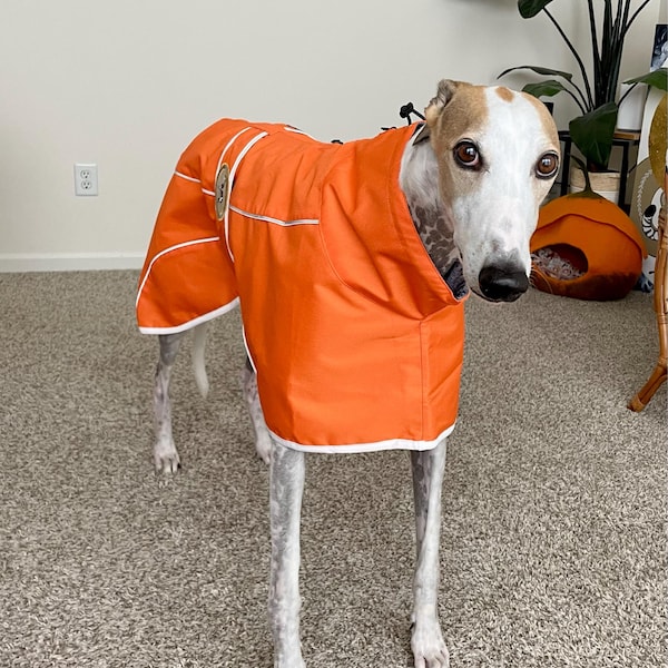 Greyhound, Lurcher & Whippet Lightweight Waterproof Rain Mac/rain ...