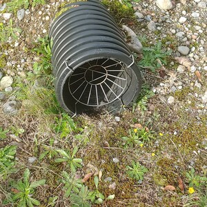 4" Animal Tile Guard, Drainage Guard, Varmint Pipe Guard, Squirrel Pipe ...