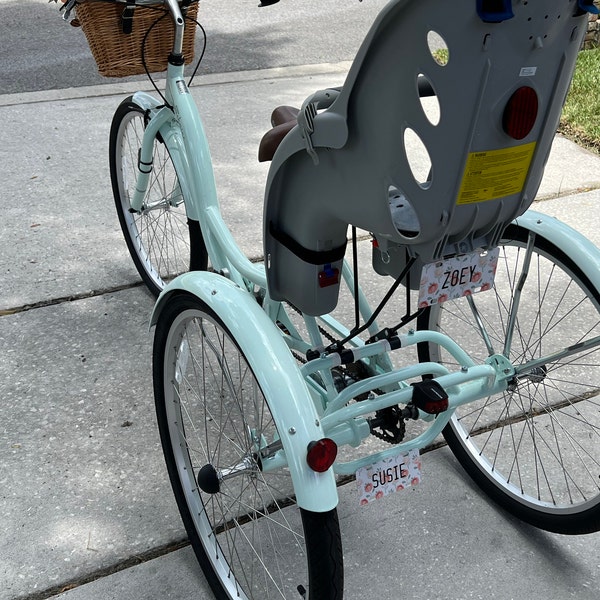 Floral Wheelchair Mobility Scooter Walker Elderly Custom Mini Aluminum ...